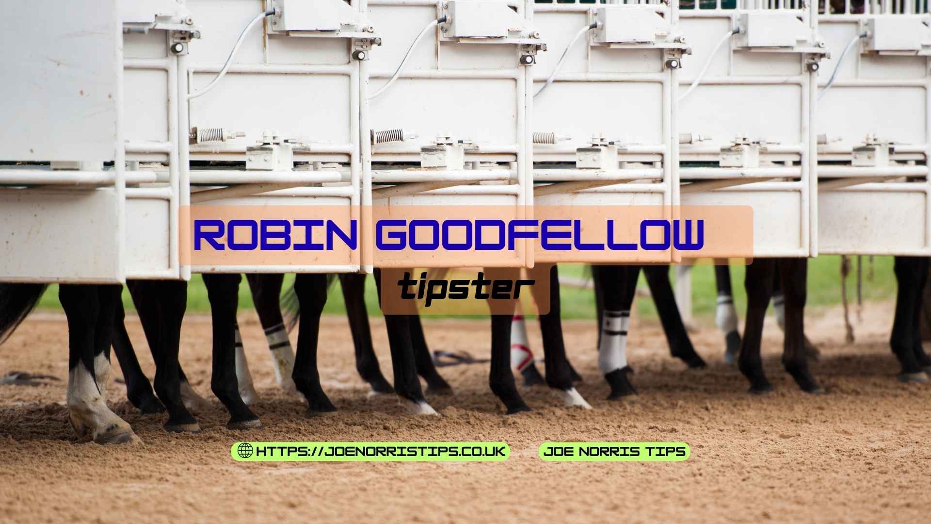 Daily Racing Tips from Robin Goodfellow Horse Racing Tipster